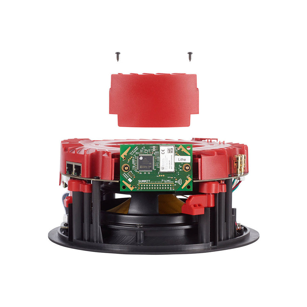 Amplify | Lithe Audio Pro Series Wisa Module Bolt On